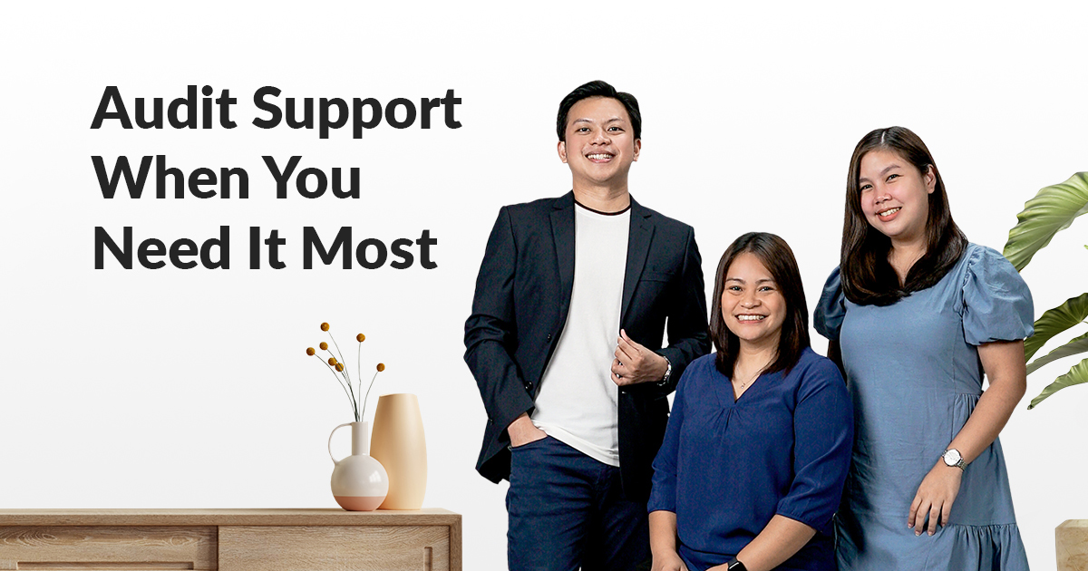 Professional External Audit Services - Scrubbed