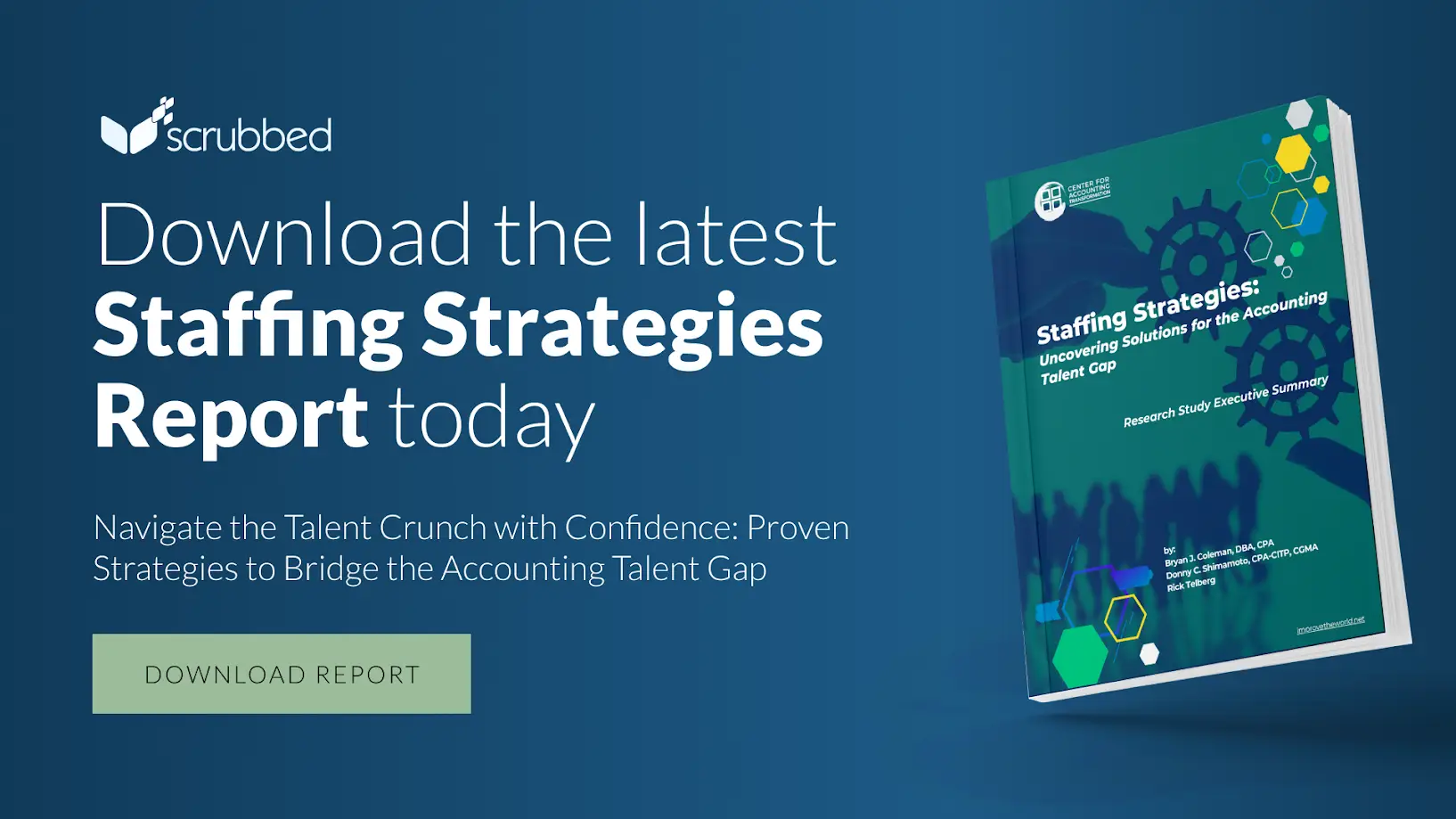 Staffing Strategies Report: Uncovering Solutions for the Accounting ...