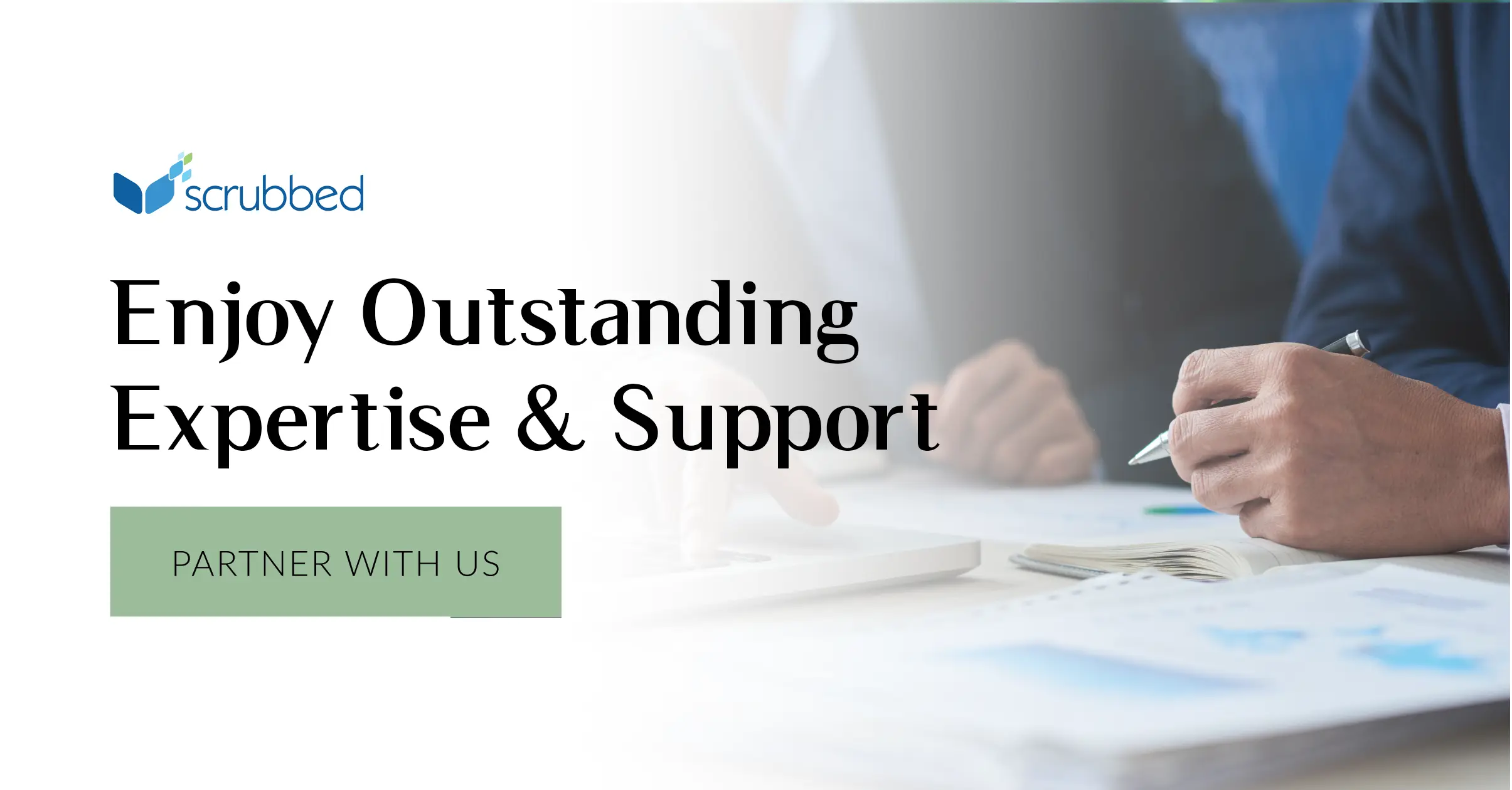CFO Support Services - Scrubbed