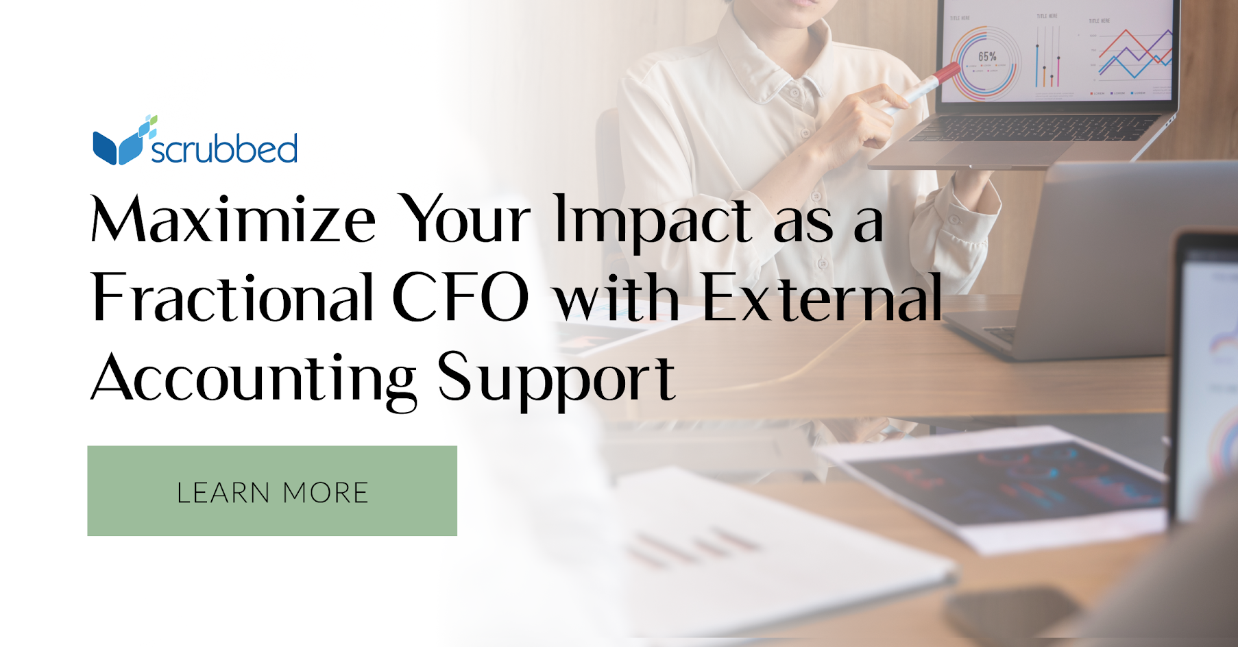 Fractional CFO Support Services | Scrubbed